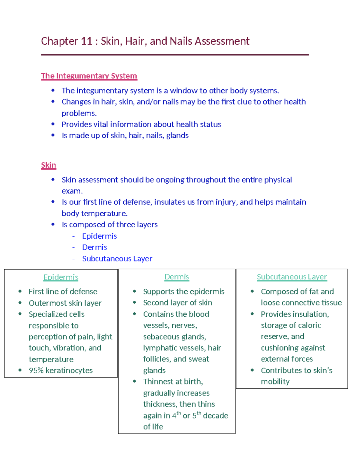 Assessment Chapter 11 SG 4 - Chapter 11 : Skin, Hair, and Nails ...