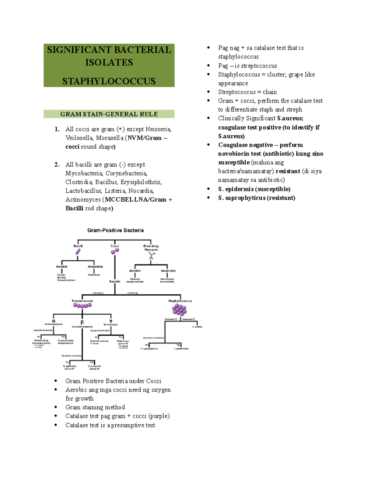 Staphy-1 Study Notes on Gram Positive Cocci: Staphylococcus Overview ...