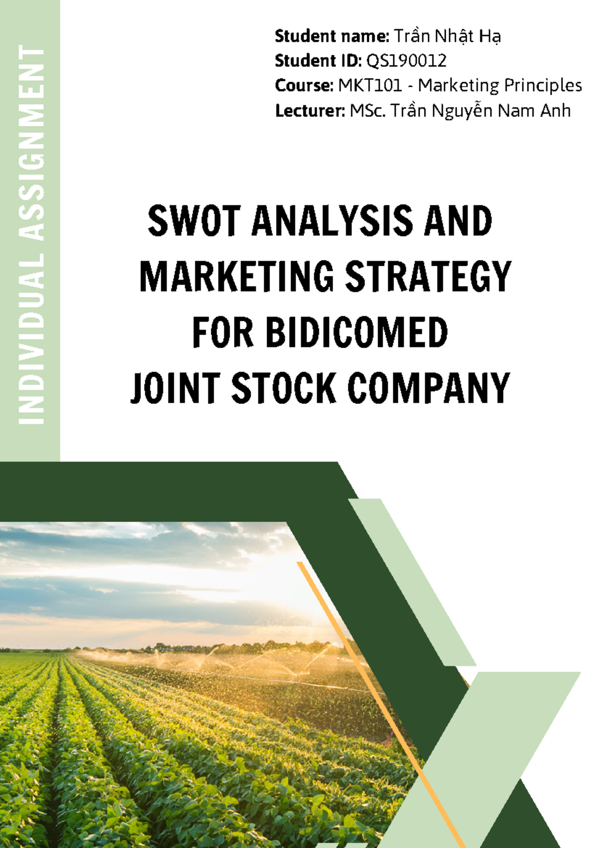 SWOT Analysis & Marketing Strategy for Bidicomed (MKT101 Assignment ...