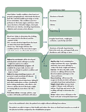 BSN 366 Concept - DIRECT-FOCUSED CARE: CONCEPT MAPPING ASSIGNMENT ...