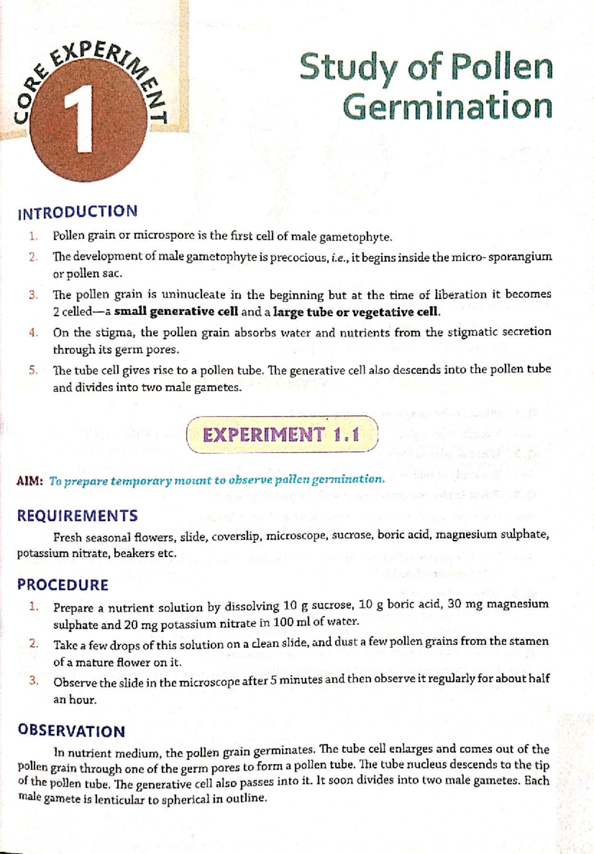 CORE Biology Practical: Study of Pollen Germination and Tube Growth ...