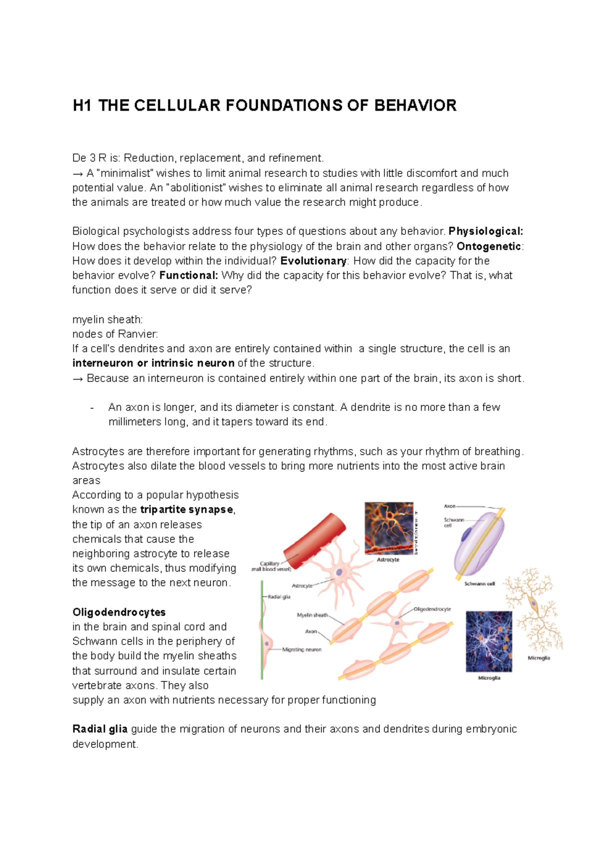 H1 Lecture Notes: Cellular Foundations of Behavior - Key Concepts ...