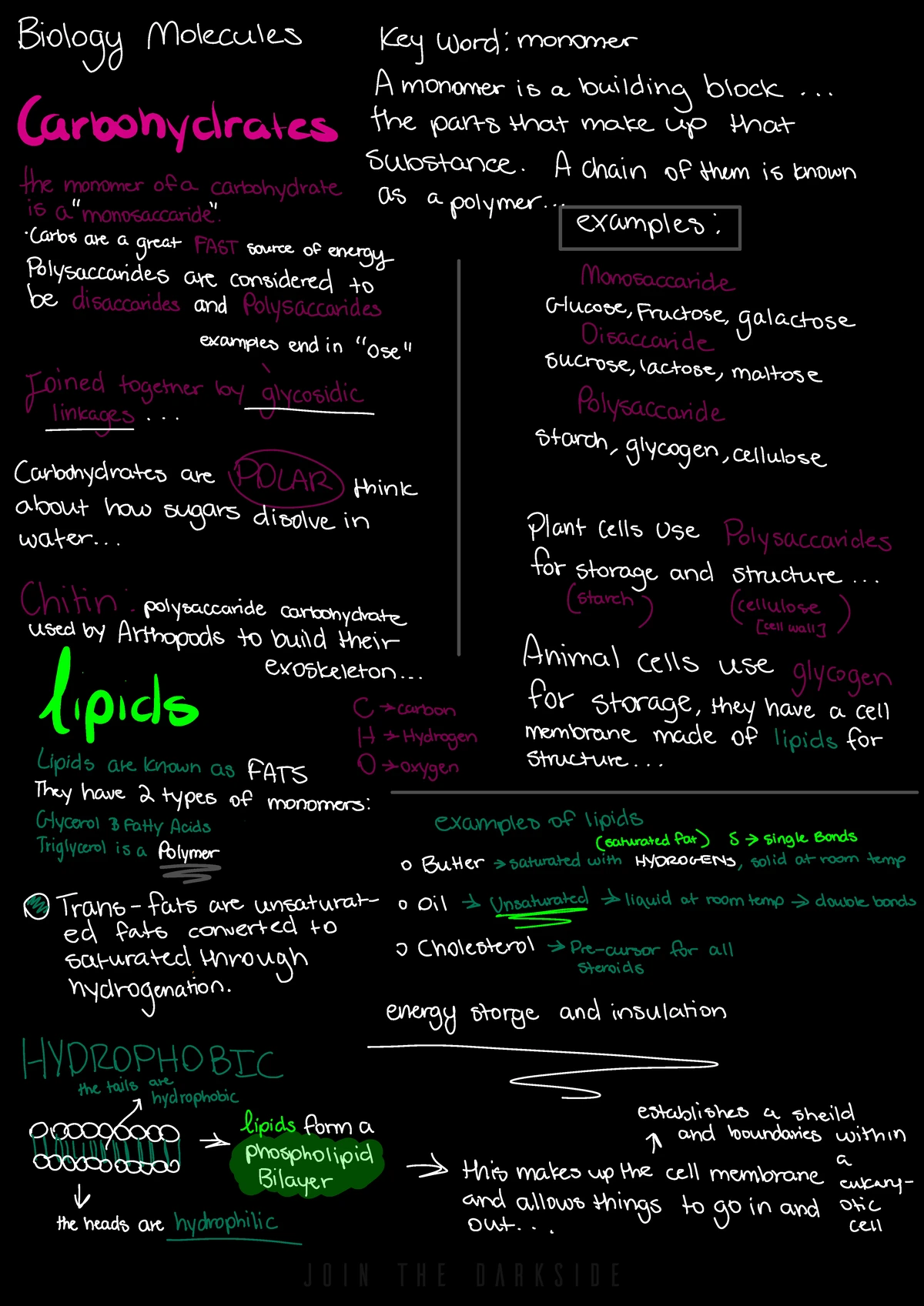 Intro to Biology Exam 1 Flashcards Quizlet - Intro to Biology Exam 1 ...