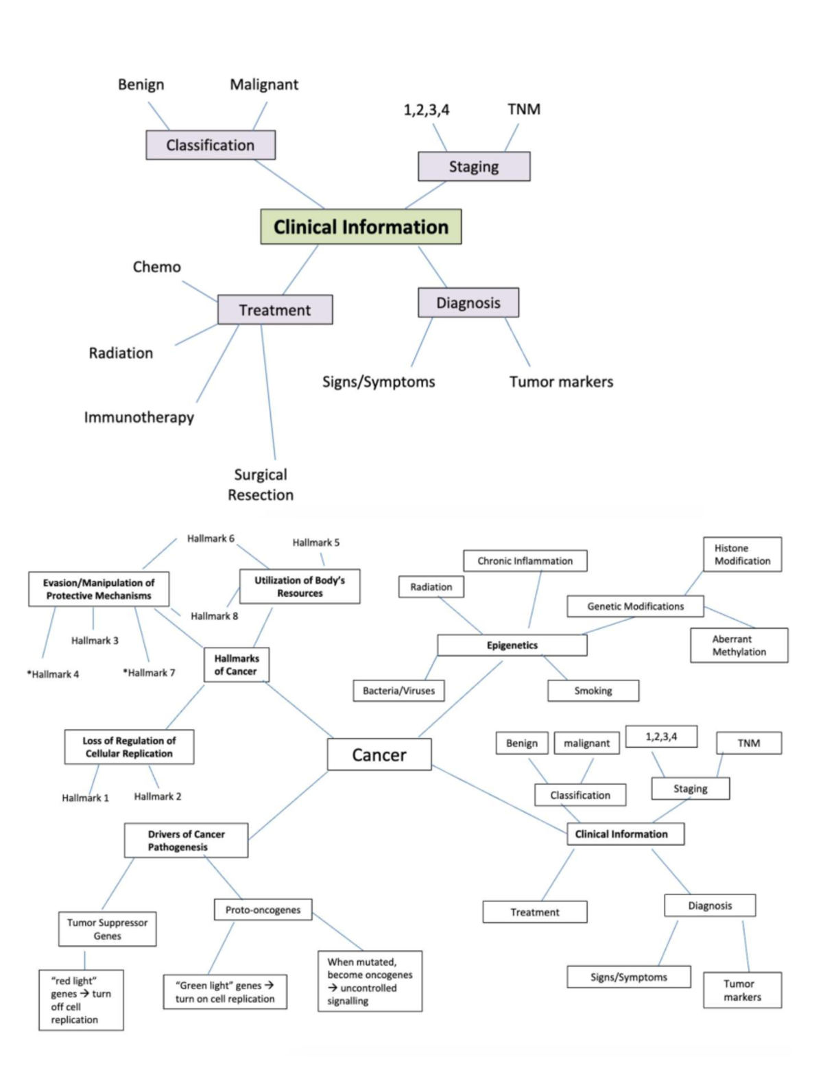 3 Cancer Study Guide: Malignant Tumors & Pathophysiology Insights - Studocu