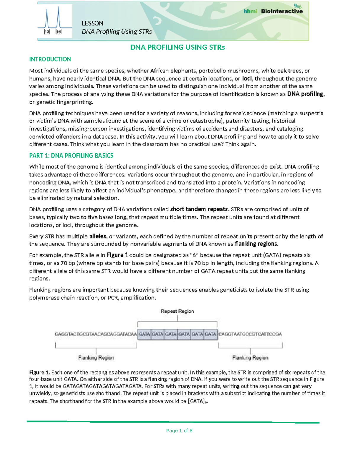 DNA Profiling Using STRs: Understanding Genetic Fingerprinting Techniques - Studocu