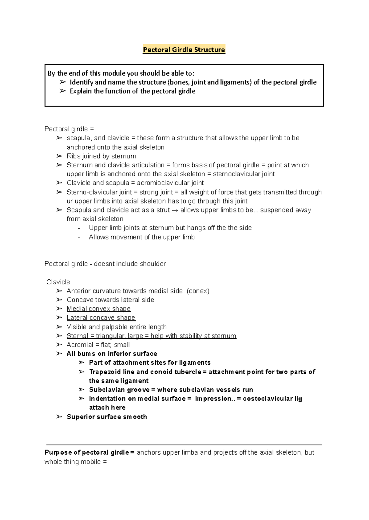 Pectoral Girdle Structure: Essential Notes for Anatomy Course - Studocu