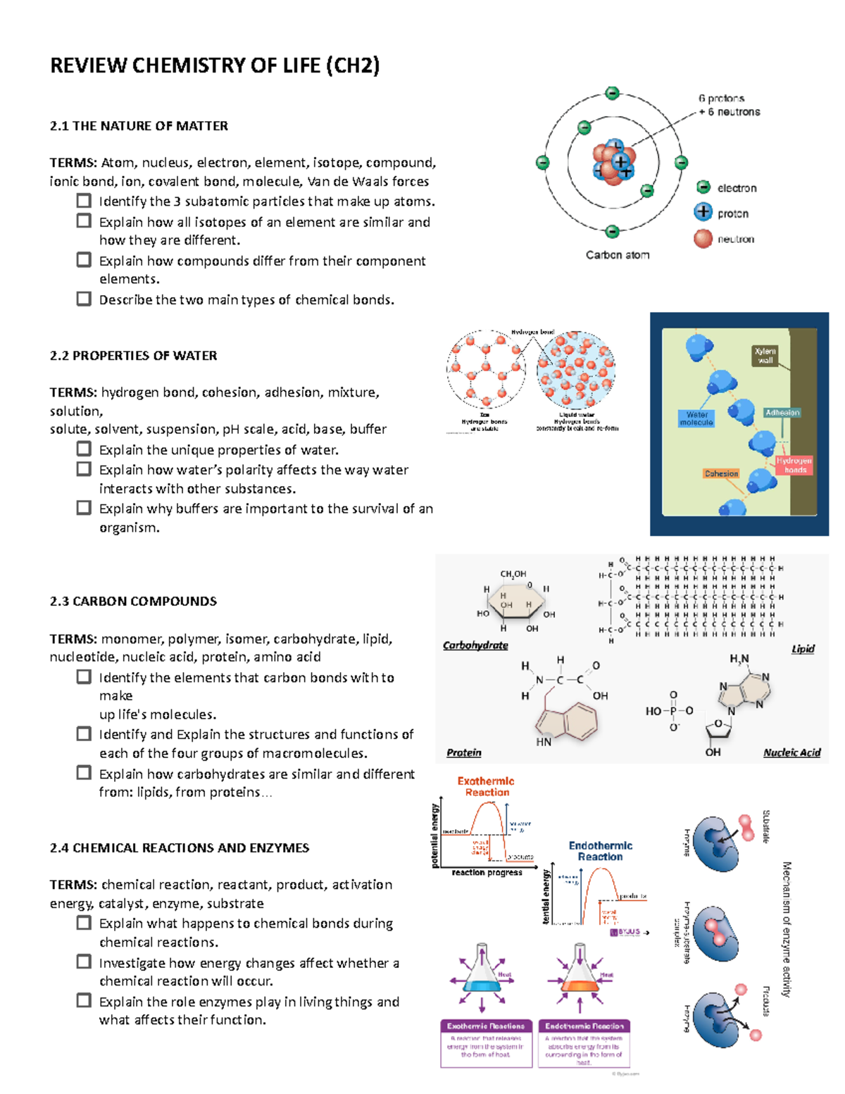 Review of Chemistry of Life (CH2) - Key Concepts and Terms - REVIEW ...