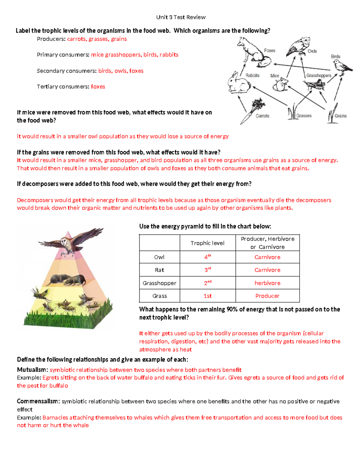 Unit 3 Ecology Test Review: Trophic Levels & Ecosystem Dynamics - Studocu