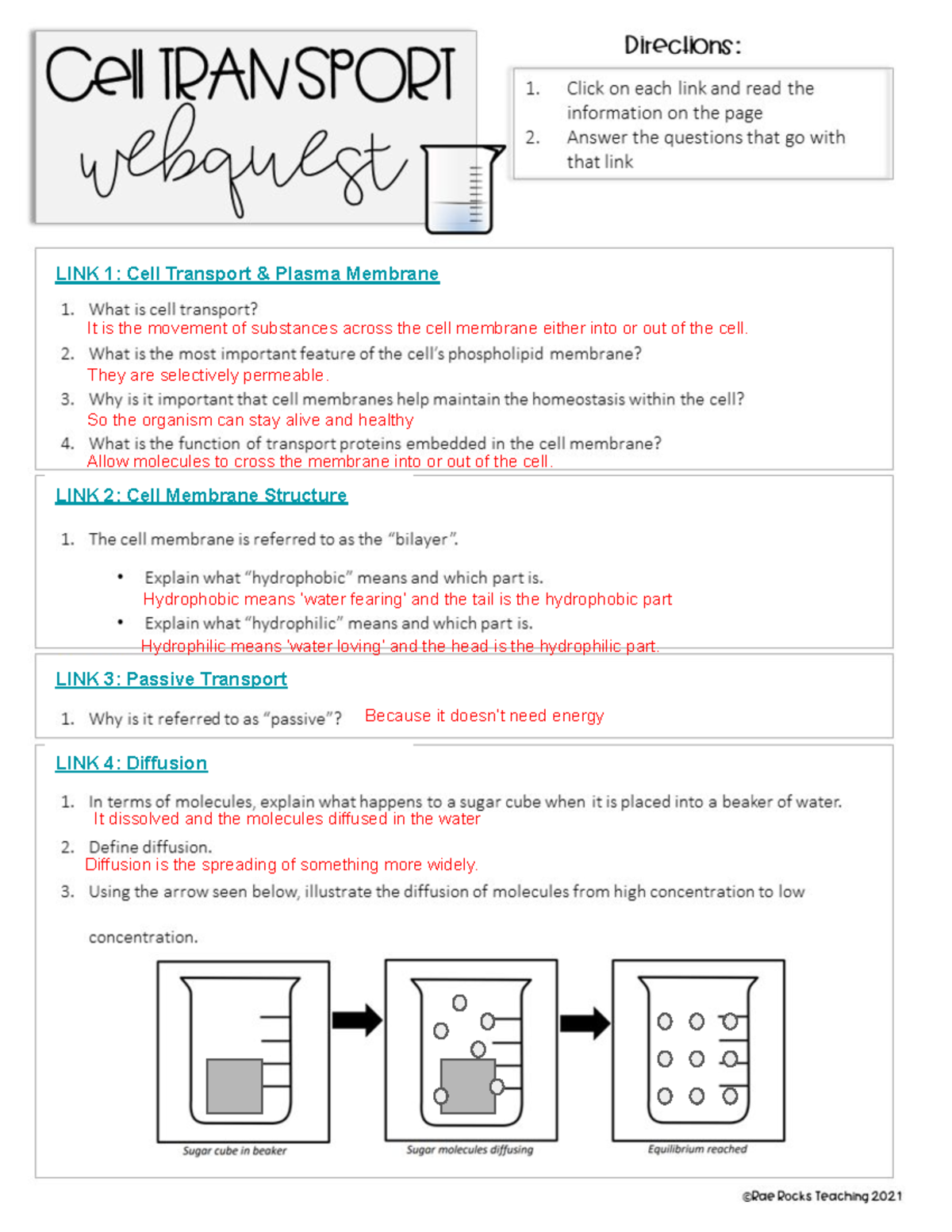 Cell Membrane and Cell Transport Webquest - LINK 1: Cell Transport & Plasma Membrane LINK 2 ...