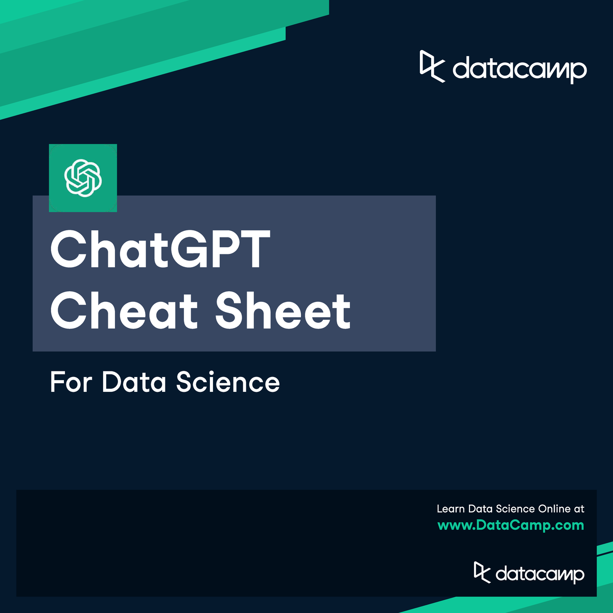 ChatGPT Cheat Sheet for Data Science (DSC 101) - Studocu