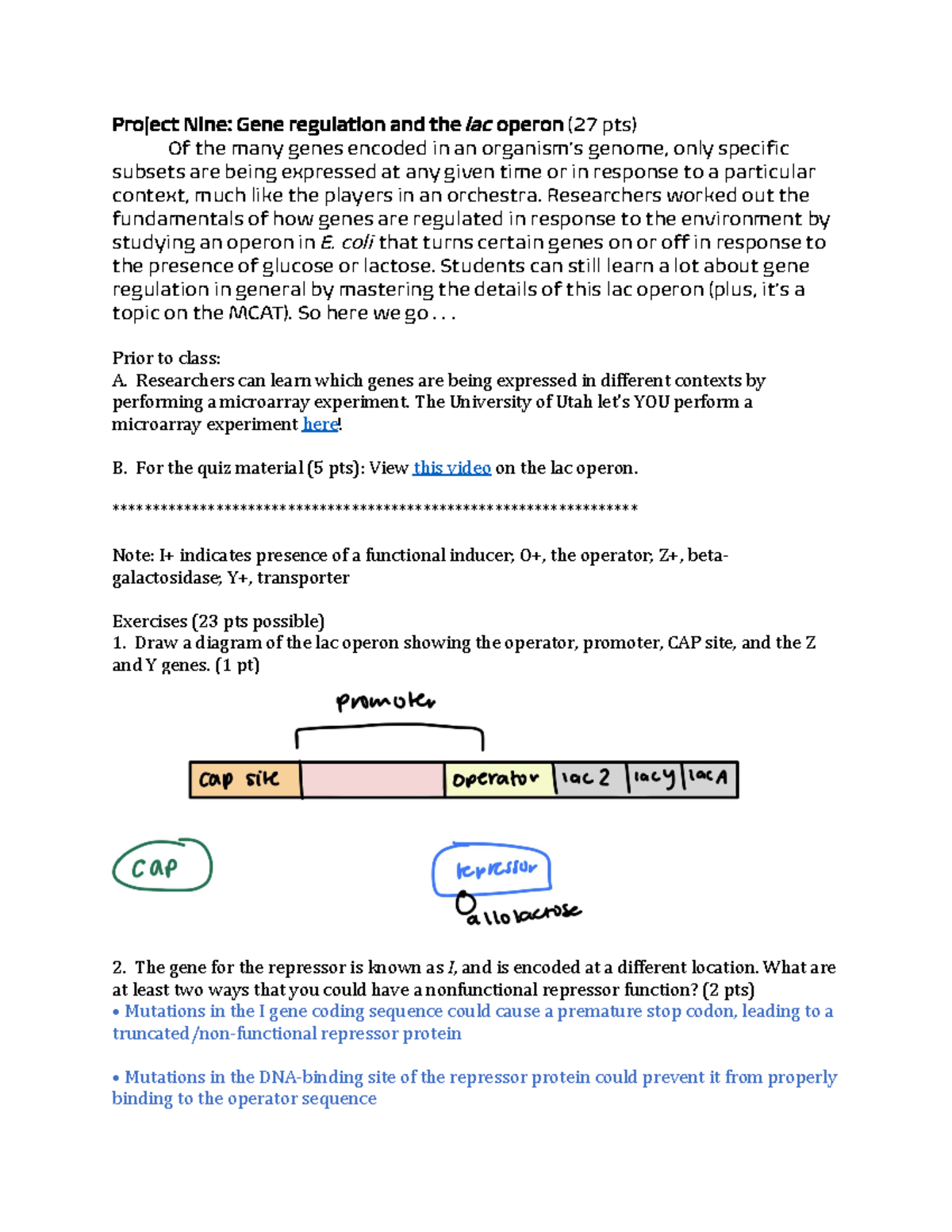 Project 9 - Lab on Gene Regulation and the Lac Operon (Genetics) - Studocu