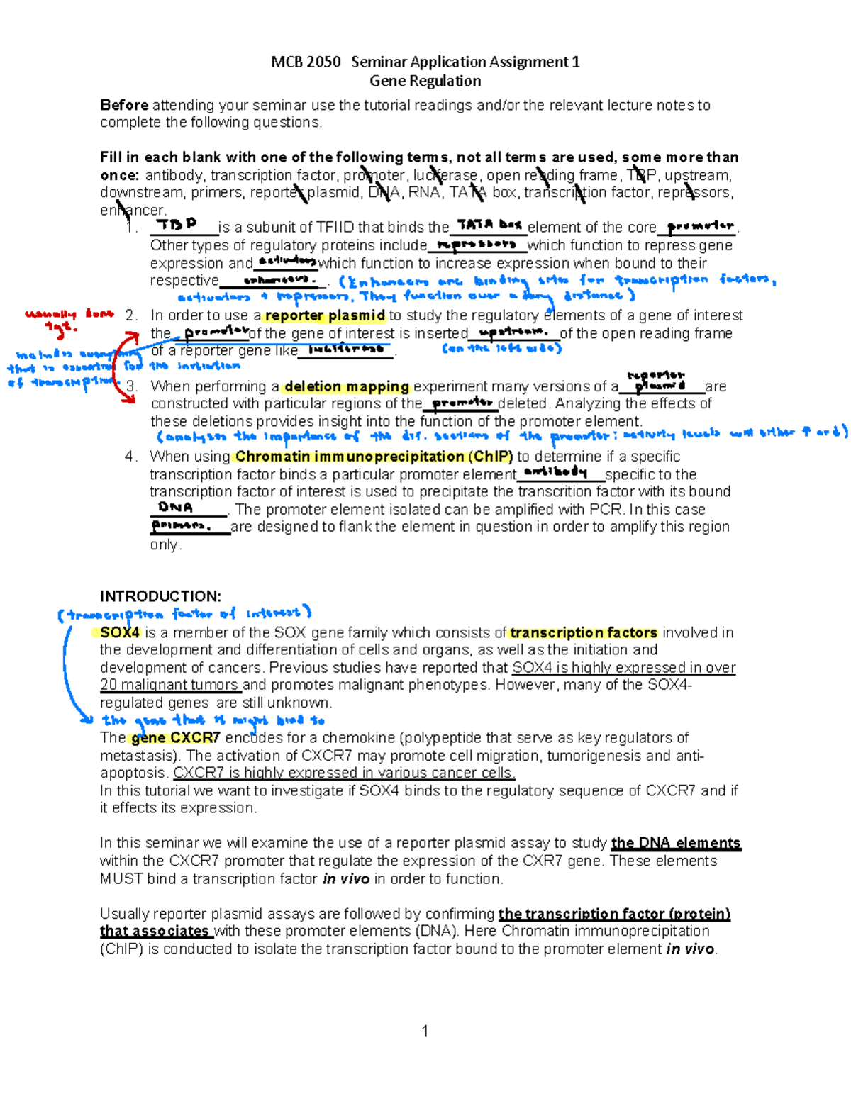 MCB 2050: Seminar Application Assignment 1 on Gene Regulation - Studocu