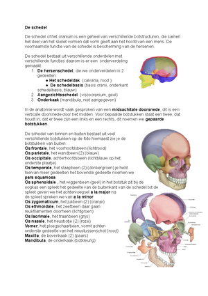 [Solved] wat is Processus alveolaris - Functionele Anatomie (MTI-1 ...