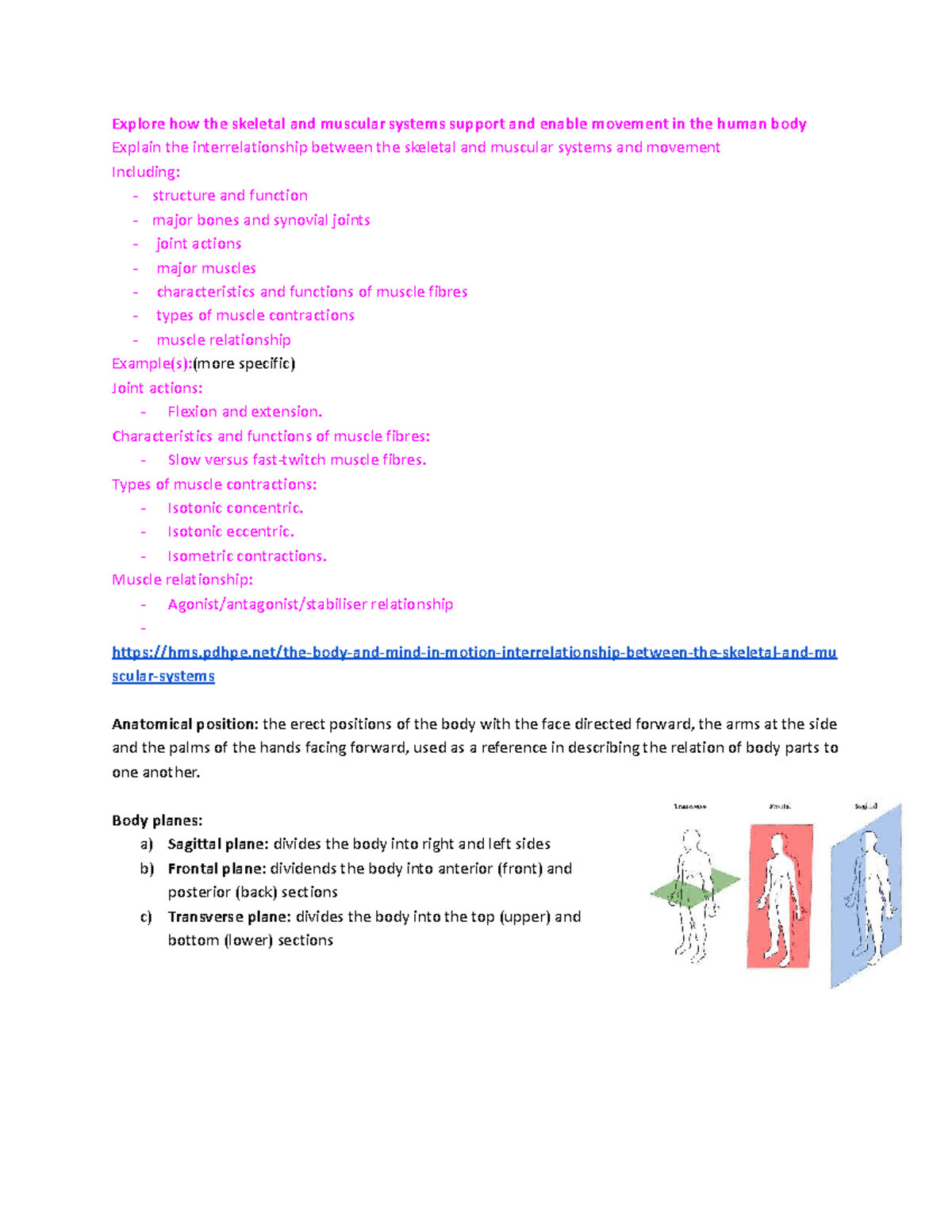 Skeletal and Muscular Systems: Movement Interrelationship - Studocu