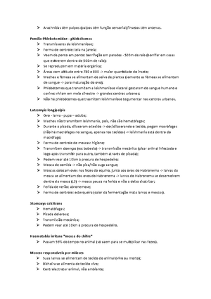 Siphonaptera - pulgas - Morfologia das formas evolutivas, ciclo ...