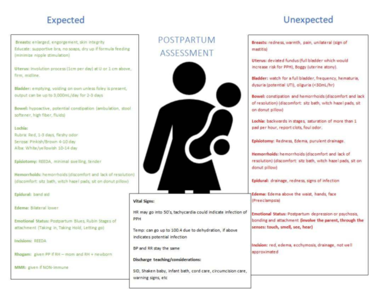 Exam 4 Notes: Postpartum Assessment & Nursing Interventions - Studocu