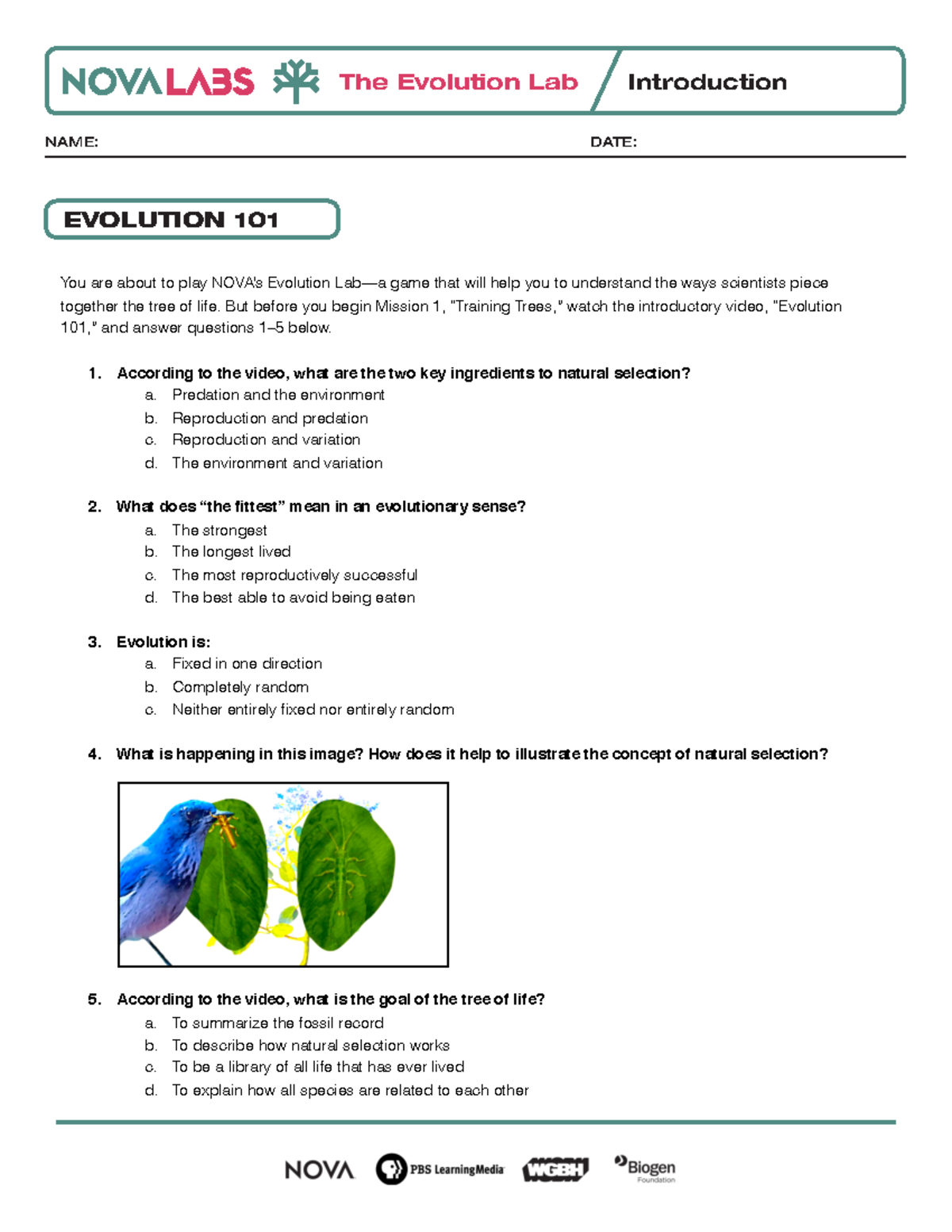 NOVA Evolution Lab Worksheets: Understanding the Tree of Life - Studocu