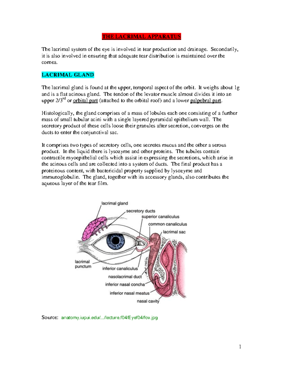 Lacrimal Apparatus Overview: Structure, Function & Tears Mechanics ...
