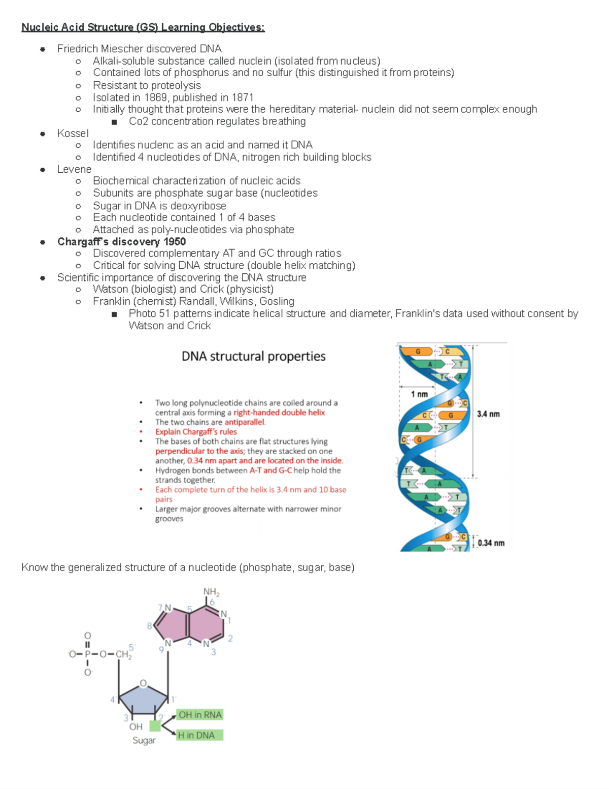 Bio 201 Exam 1 Summary: Nucleic Acids & DNA Techniques - Studocu
