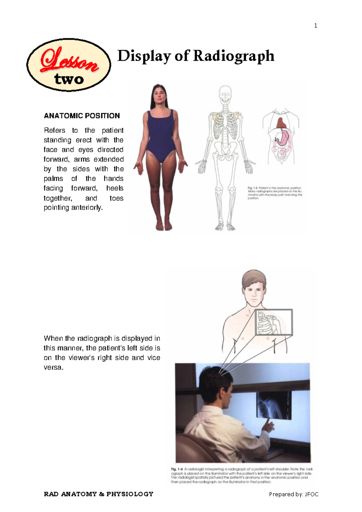 Rad Ana 2 - Anatomic Position and Muscle Control in Radiography - Studocu
