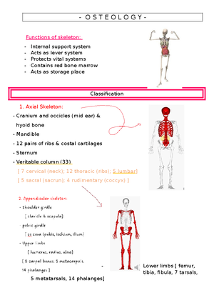 Skull slides - ANA 151 Osteology of the skull Dr J Myburgh BMS 4 ...