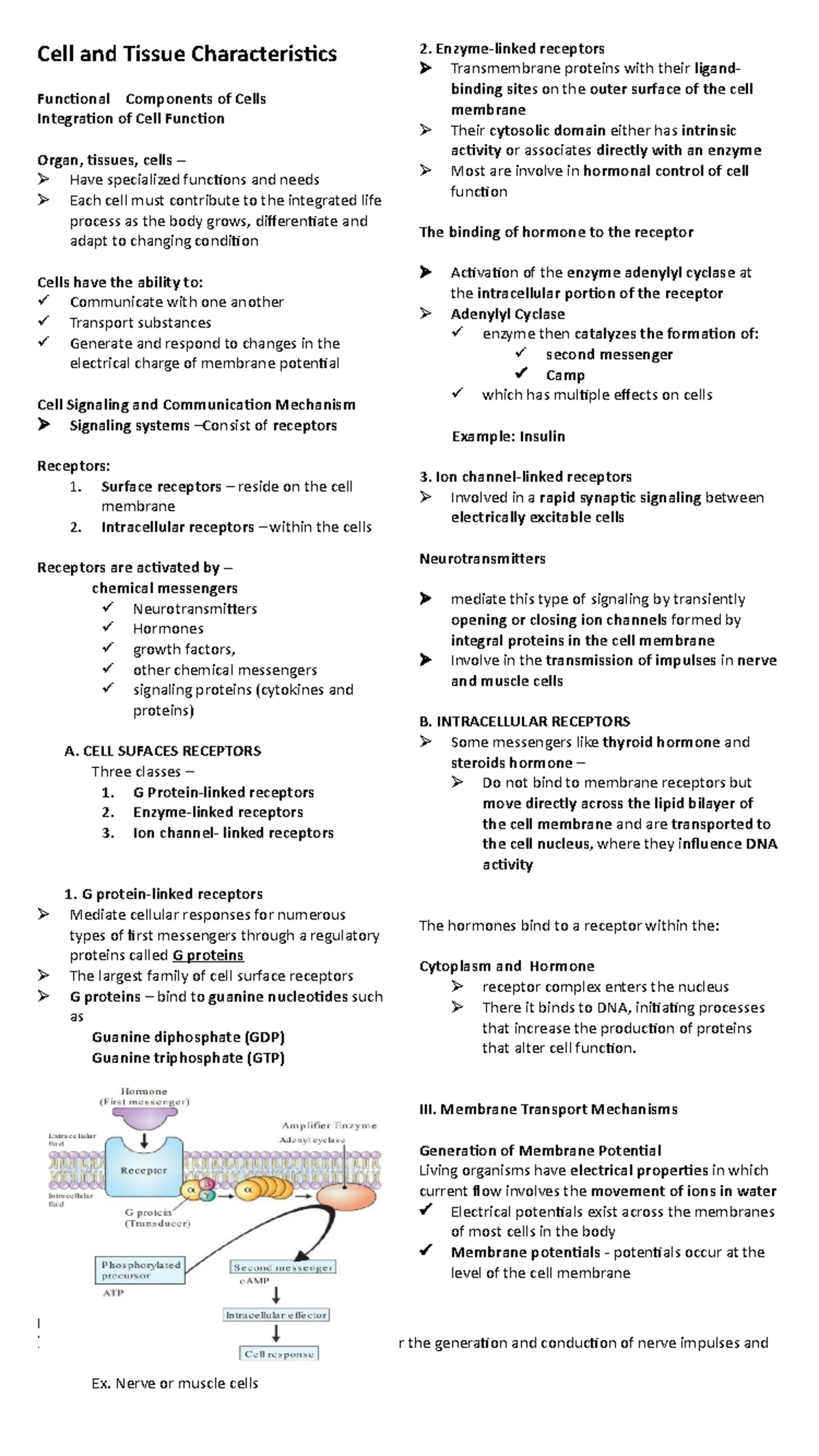 Parasitology Finals: Heterophyes Heterophyes Overview and Key Topics ...