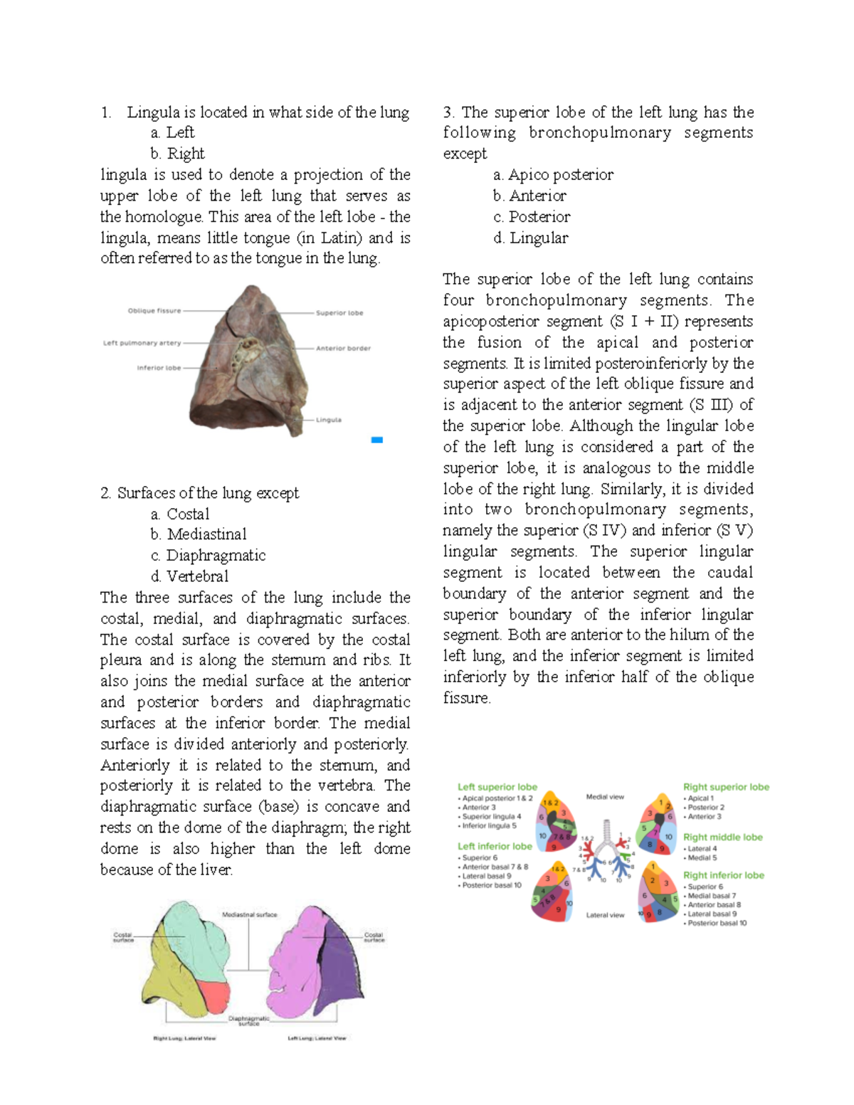 Anatomy- Lungs - Lingula is located in what side of the lung a. Left b ...