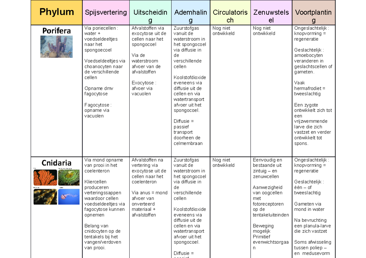 Stelsels bij de verschillende phyla - Phylum Spijsvertering Uitscheidin ...