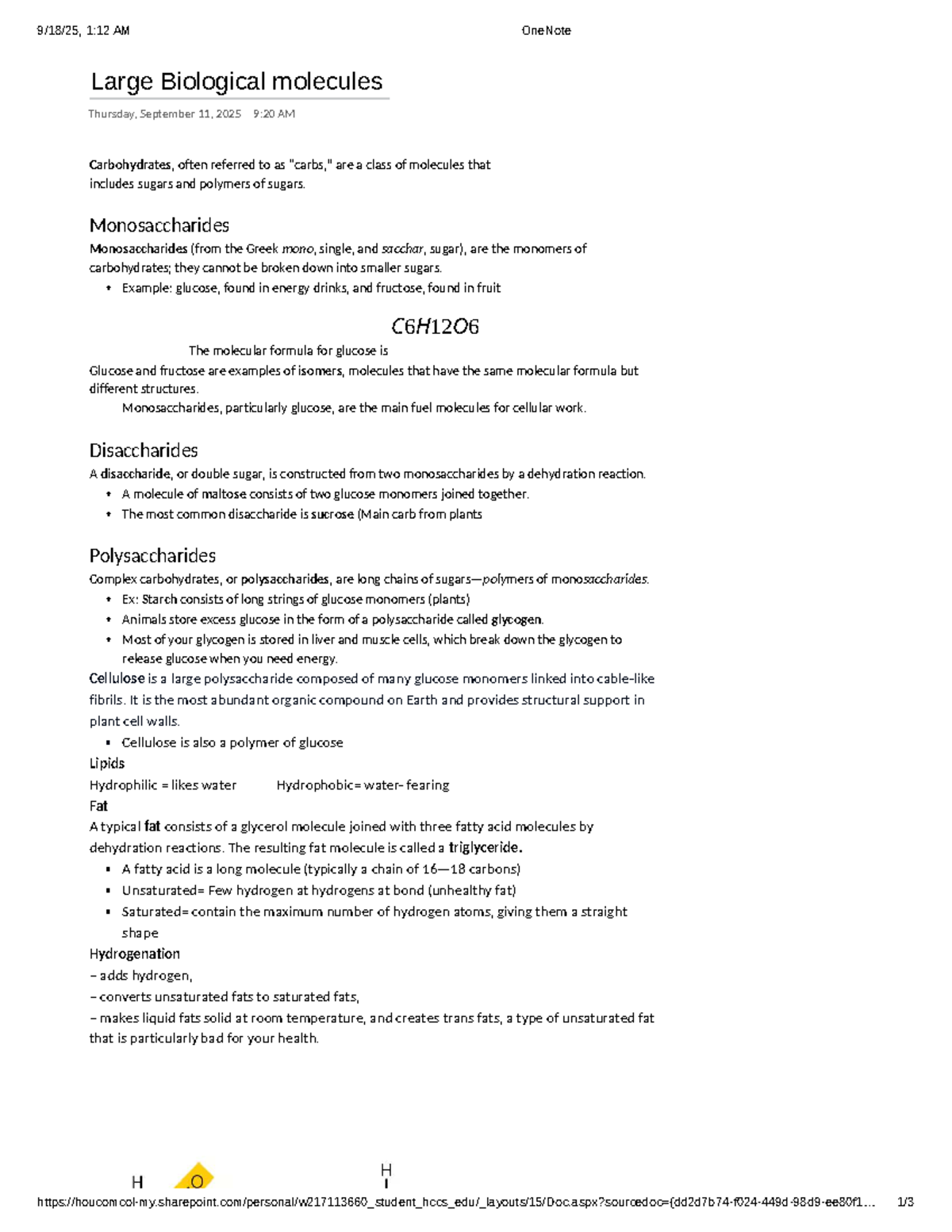 Biology 101: Notes on Large Biological Molecules and Functions - Studocu