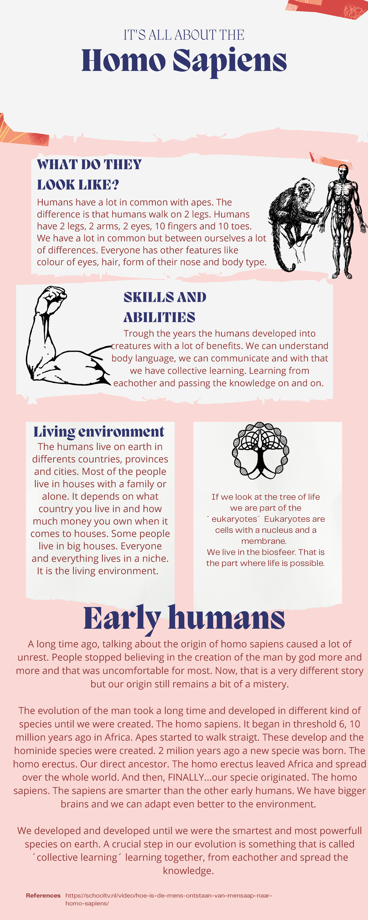 BHP Infographic Notes: Evolution of Homo Sapiens and Its Impact ...