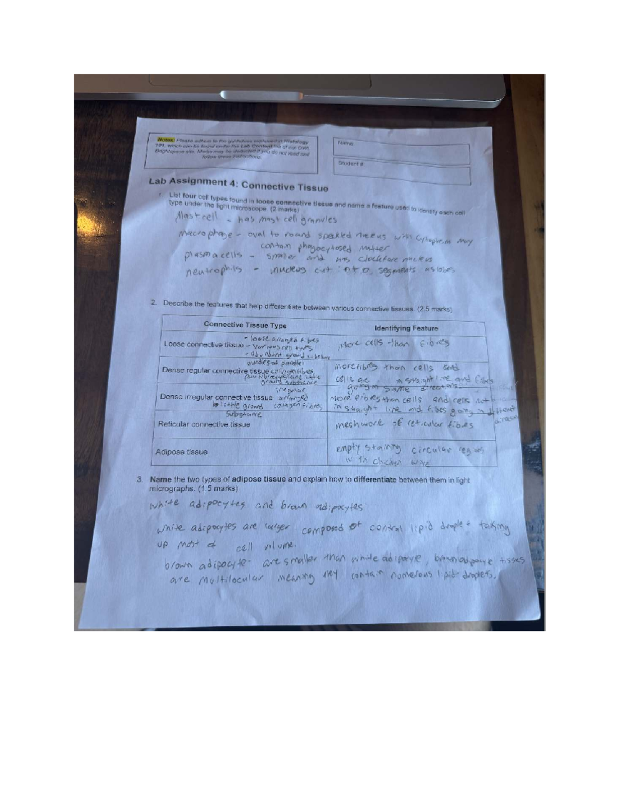Histology 101: Lab Assignment 4 - Connective Tissue Notes - Studocu