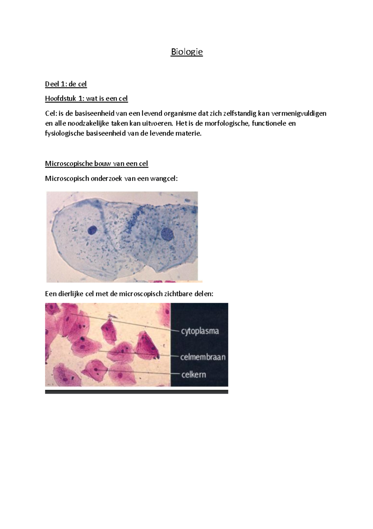 Biologie Samenvatting - Hoofdstukken over Cellen en Stofuitwisseling ...