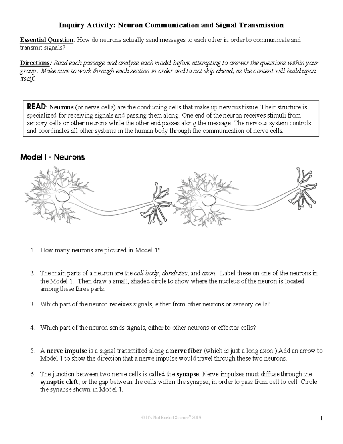 Neuron Communication WS: Exploring Signal Transmission Mechanisms - Studocu