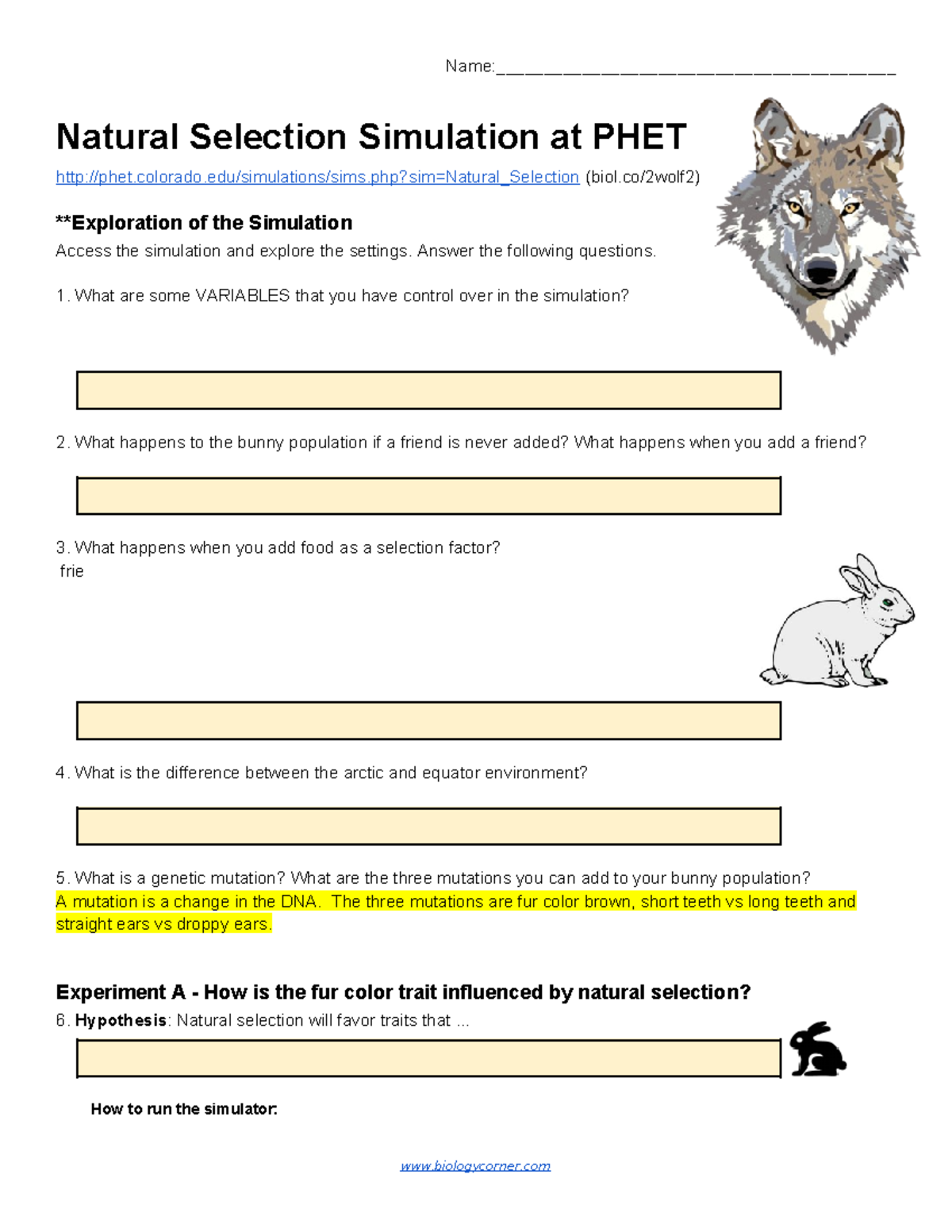 Natural Selection Simulation - home - Name ...