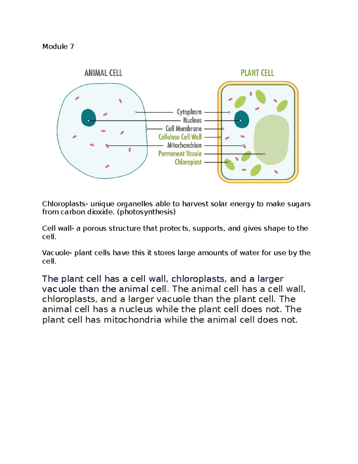 Module Seven - Module 7 Chloroplasts- unique organelles able to harvest ...