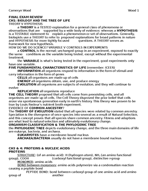 Handout for Meiosis Webquest - MEIOSIS WEBQUEST Name: Task 1 ...