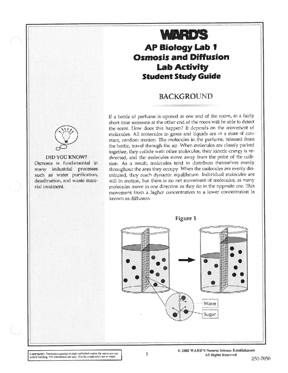 AP Biology Lab 1: Exploring Osmosis and Diffusion Concepts - Studocu