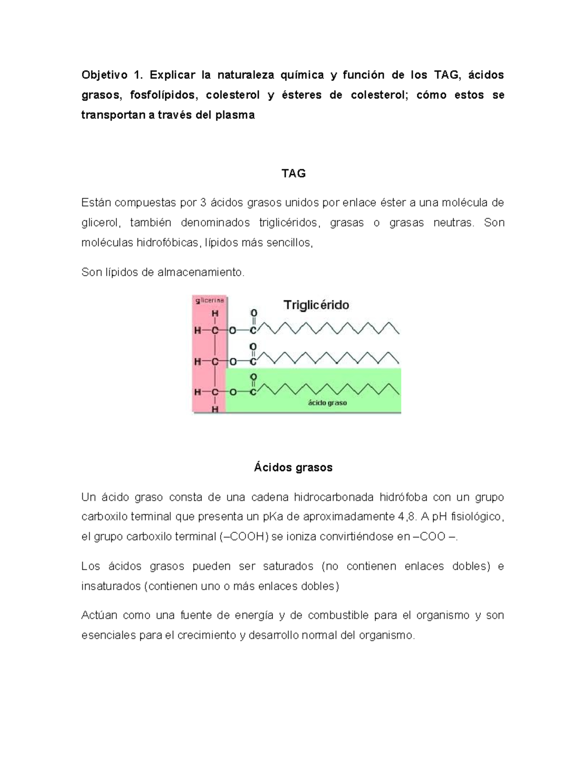 Objetivo 1: Función y Transporte de TAG, Ácidos Grasos y Colesterol ...