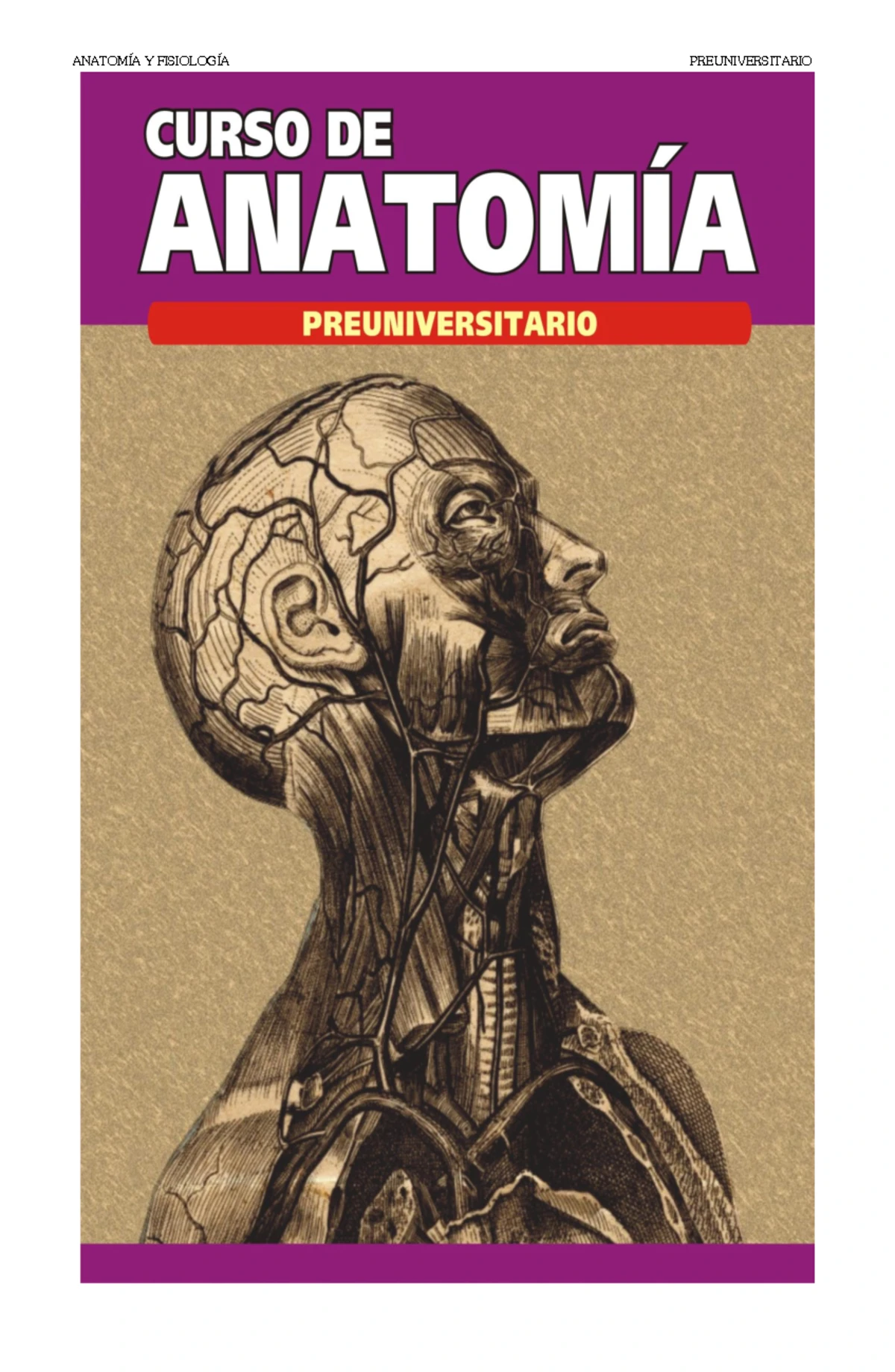 Irrigación Abdominal y Órganos Digestivos - Estudio Anatomía 101 - Studocu