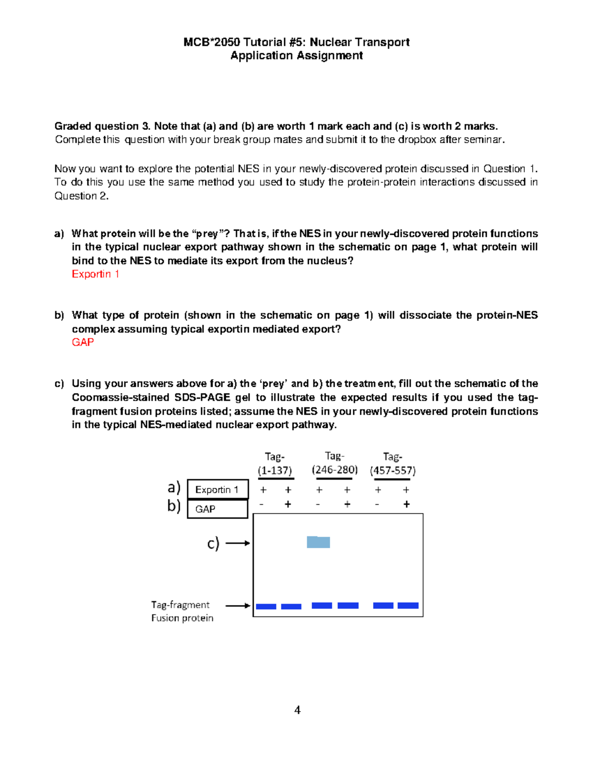 Tutorial 5 Seminar Assignment - W22 - MCB*2050 Tutorial #5: Nuclear Transport Application - Studocu