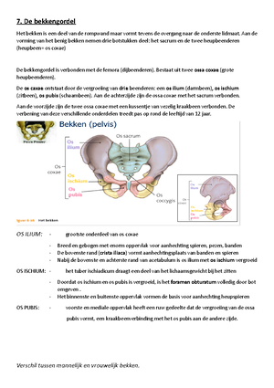 [Solved] wat is het periost van het beenweefsel - Anatomie en ...