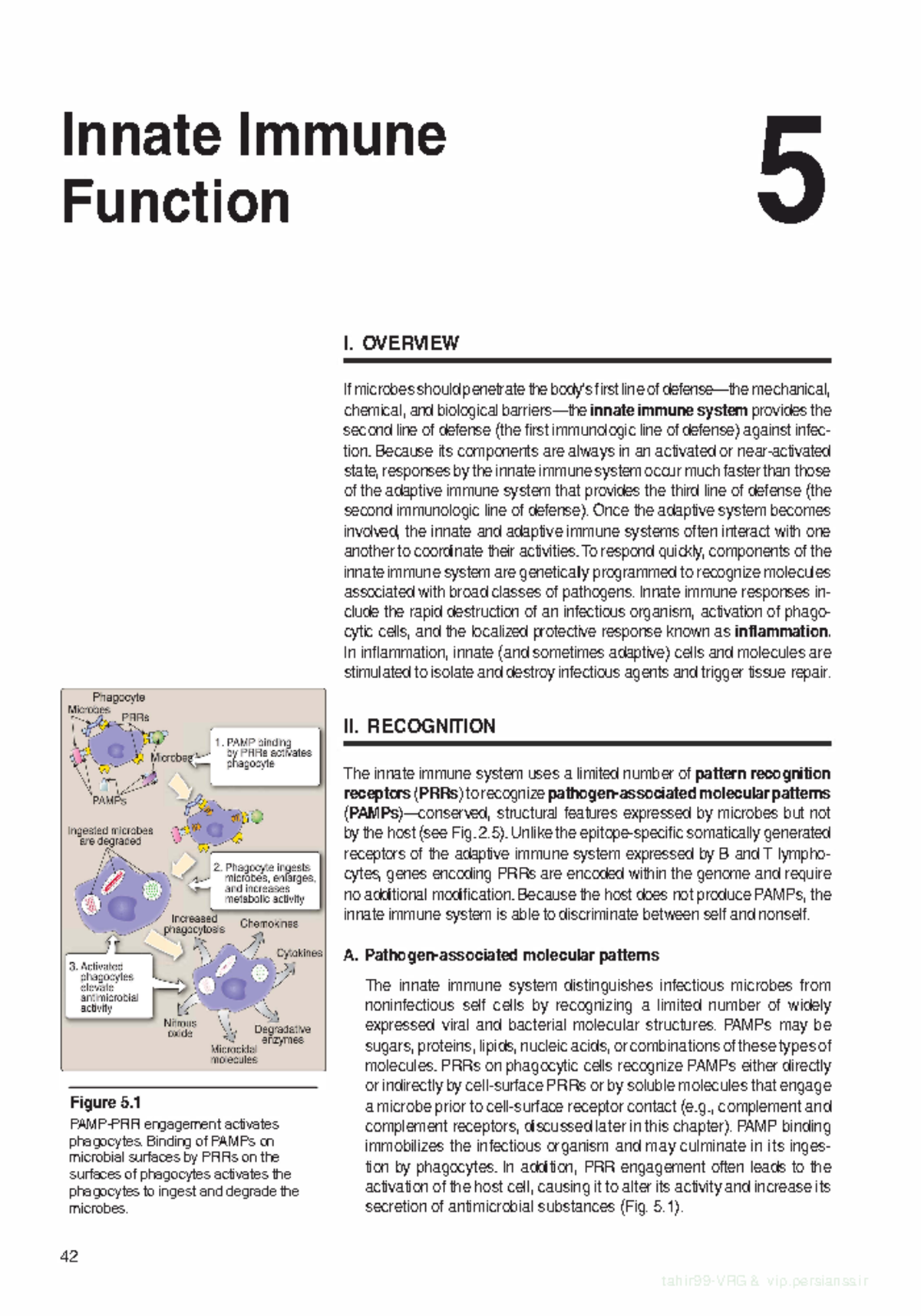 Innate Immune Function: Mechanisms, Cytokines, and Phagocytosis ...