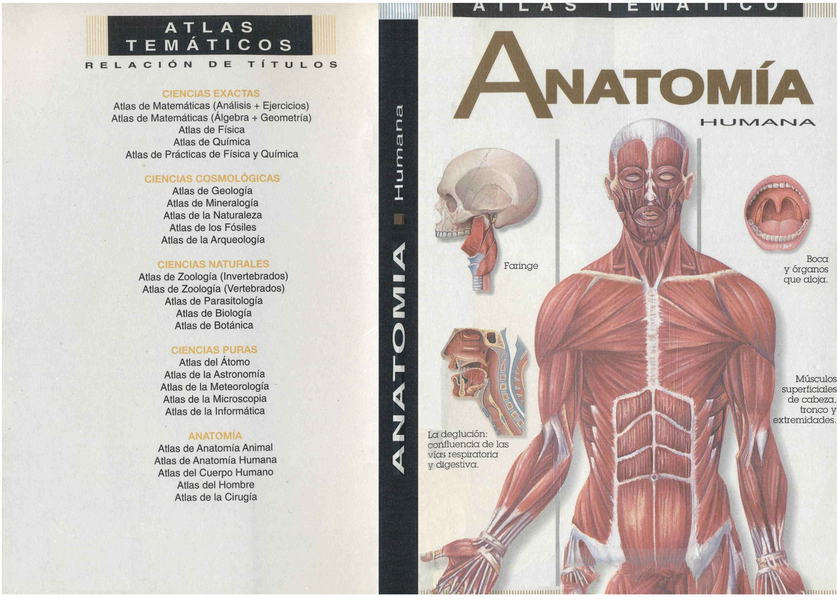 Atlas Tematico de Anatomia Humana 230704 171130 - ATLAS TEMATICOS ...