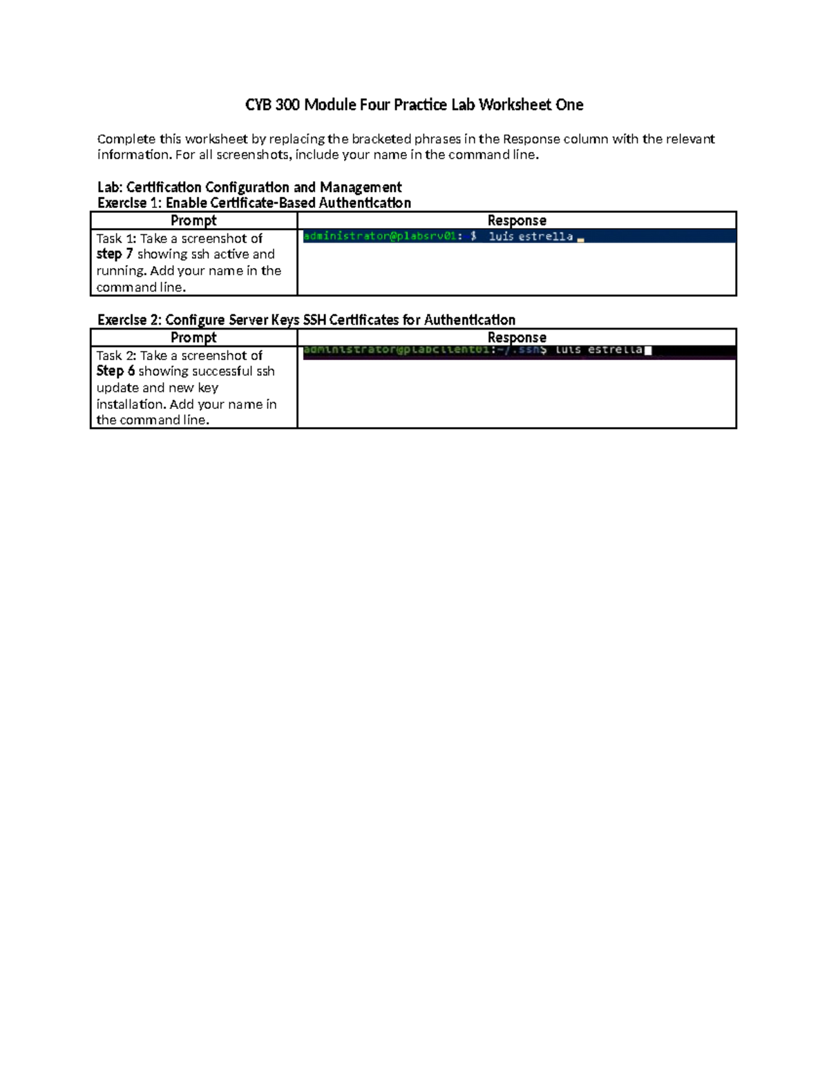 CYB 300 Module Four Practice Lab Worksheet One - For all screenshots ...