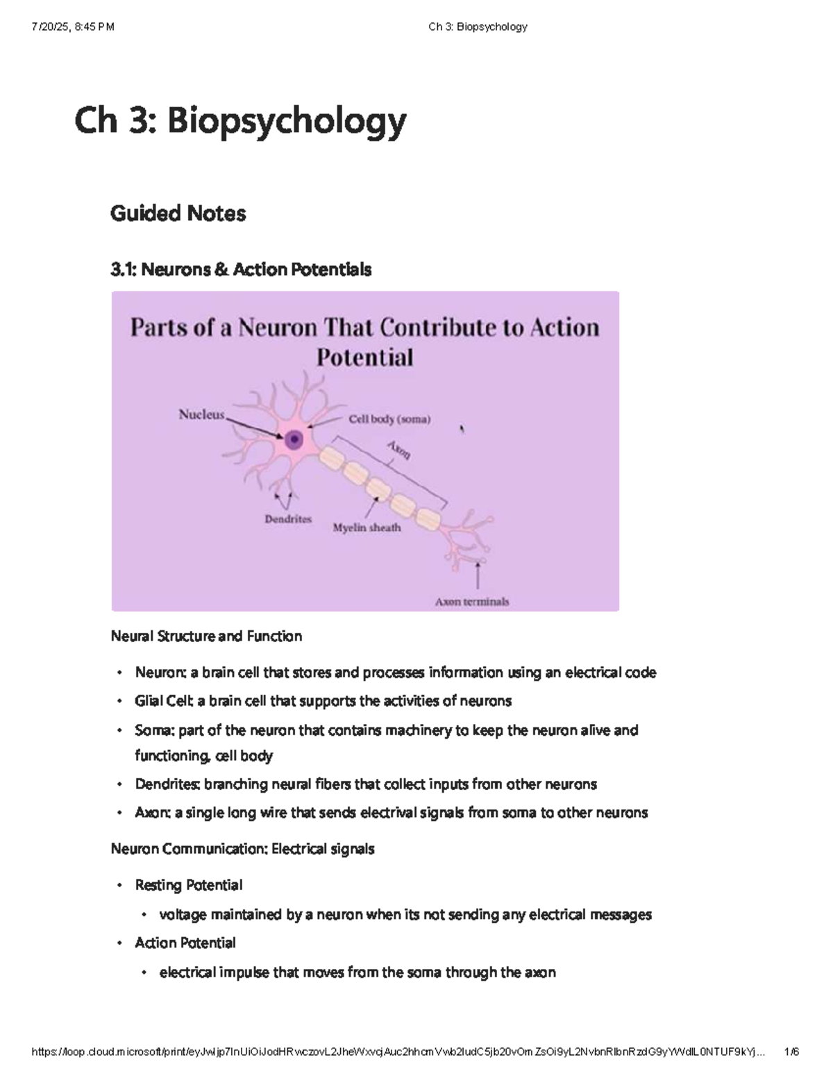 Biopsychology 8:45 PM: Ch 3 Guided Notes on Neural Functions - Studocu