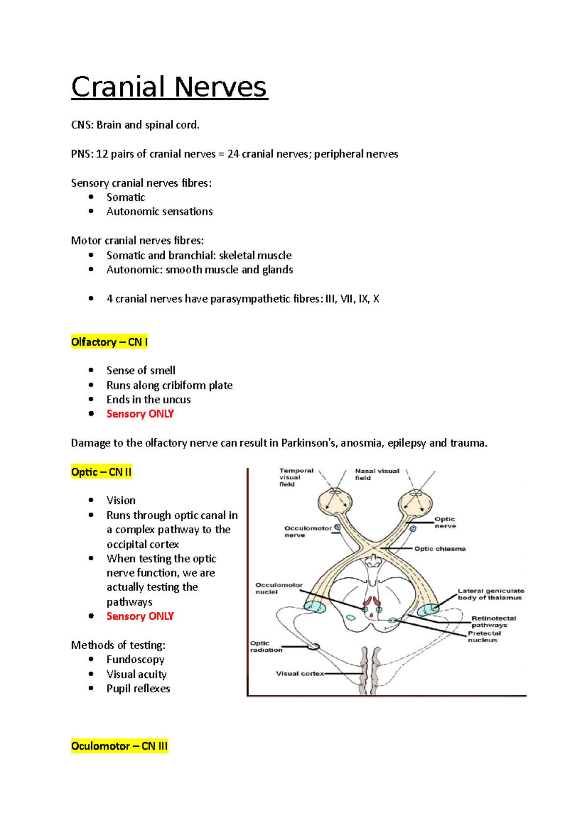 Cranial Nerves Overview - Med 1 Notes on Function and Damage - Studocu