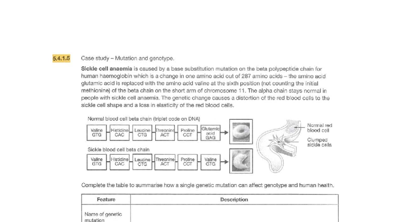 Case Study: Sickle Cell Anaemia Mutation & Genotype Analysis - Studocu