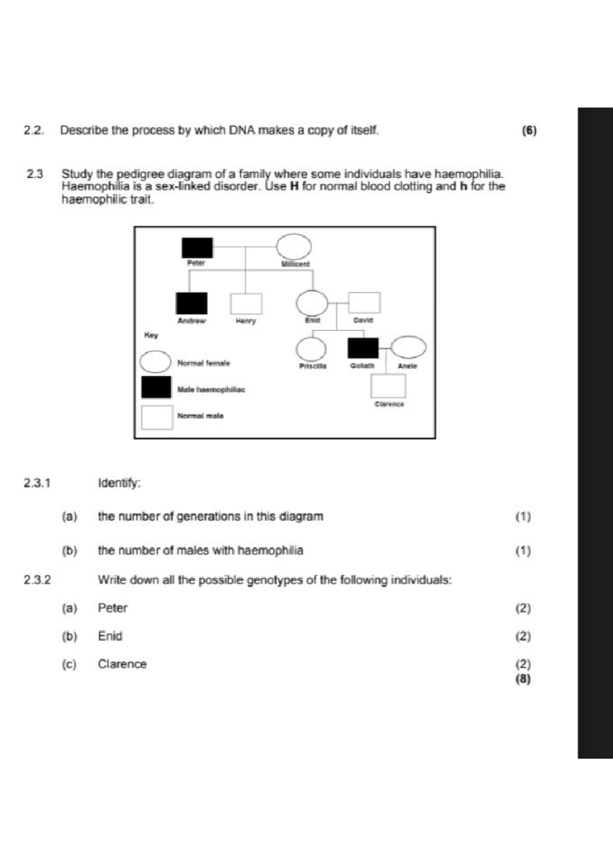 Genetics Study Guide: Life Sciences P2 (2023) - Key Concepts ...