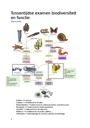 2-Indeling van het dierenrijk - Biodiversiteit en functie Hoofdstuk 2 ...