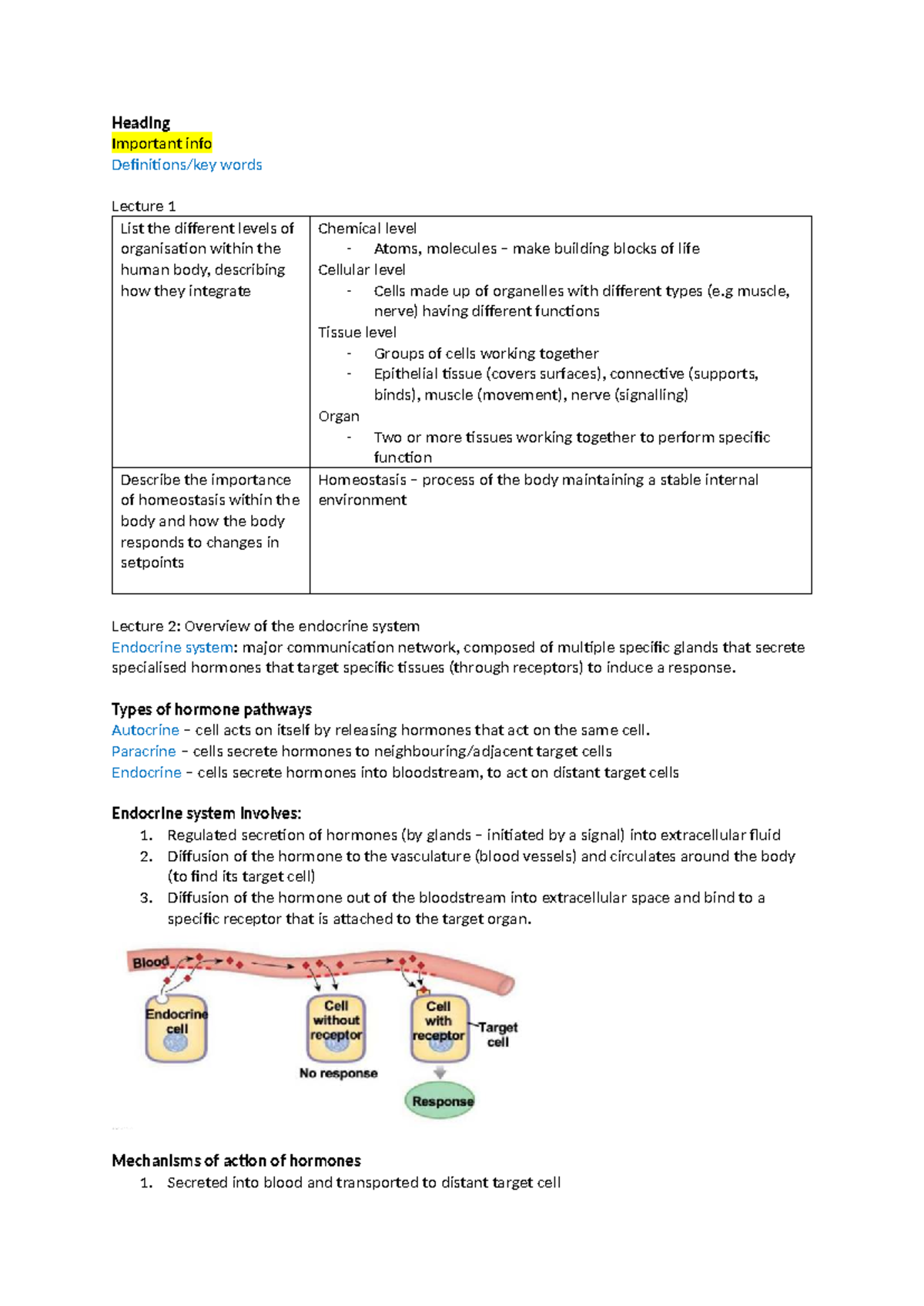 PHSI2007 Lecture Notes: Human Body Organization & Endocrine System ...